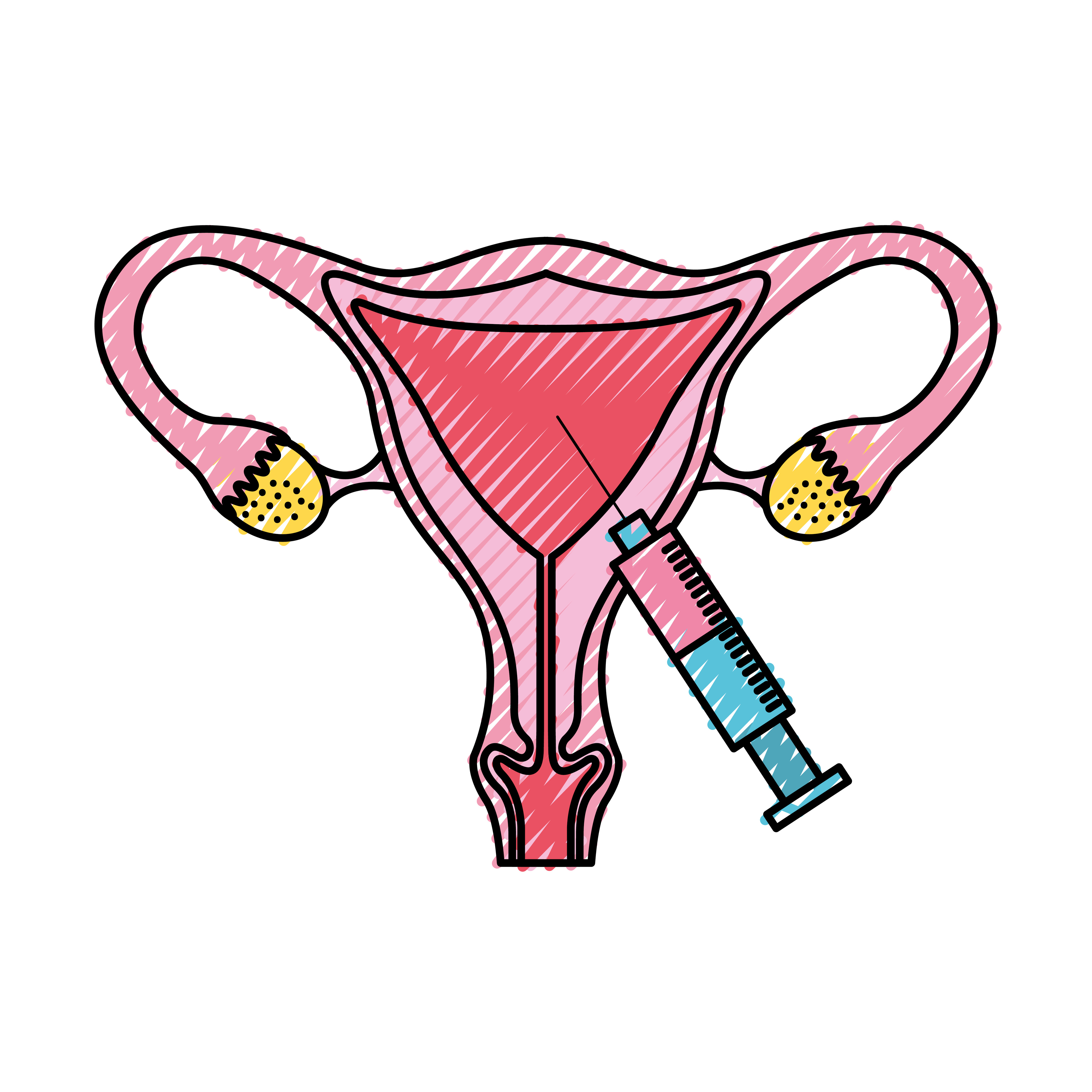 19 de junio 2024 Beneficios del ácido hialurónico en ginecología ...