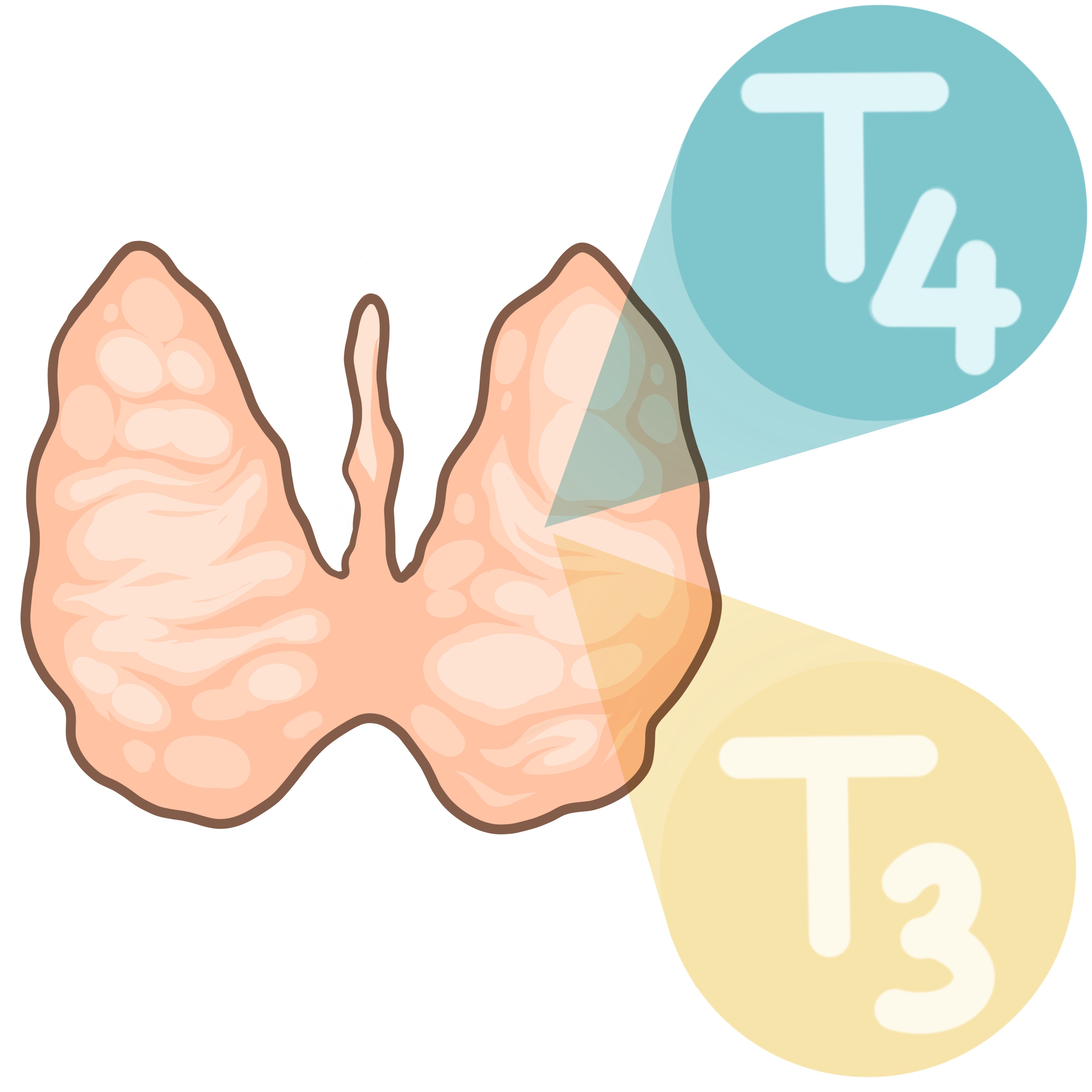 Comunidad MiMed Salud Femenina 20 de junio 2024