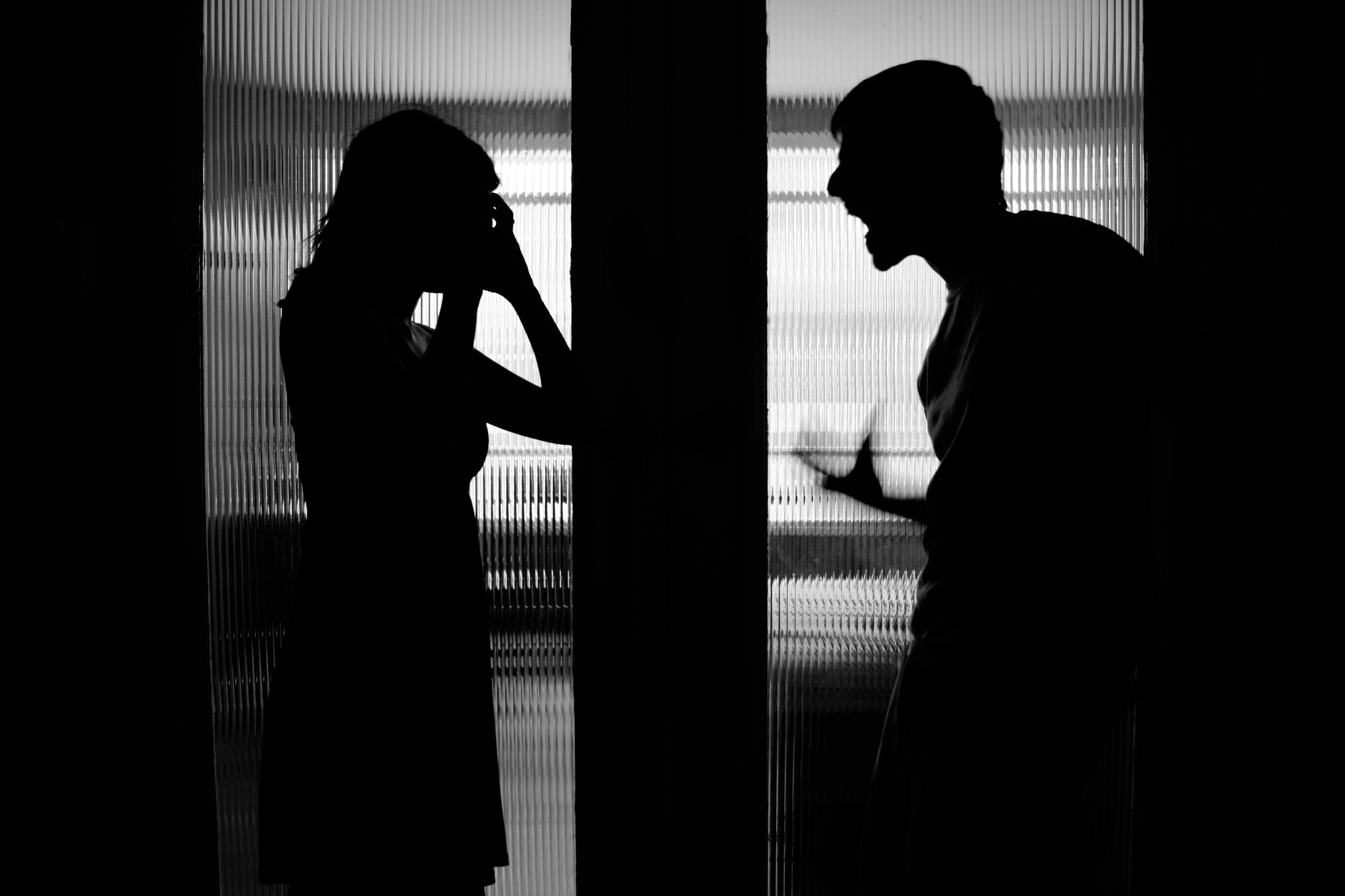 19 de noviembre 2022 Qué es la violencia doméstica